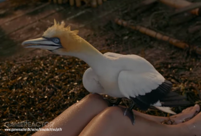 Penggemar benar-benar kesal tentang bagaimana burung camar terlihat ...