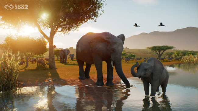 Frontier mengumumkan Planet Zoo 2, diluncurkan di PC dan konsol pada ...
