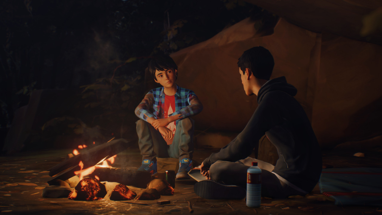 Simak video preview kami dari Life of Strange 2 - Life is Strange 2 ...